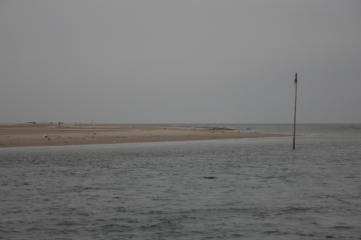 2016: Champagne op Sylt – Zilte Dromen